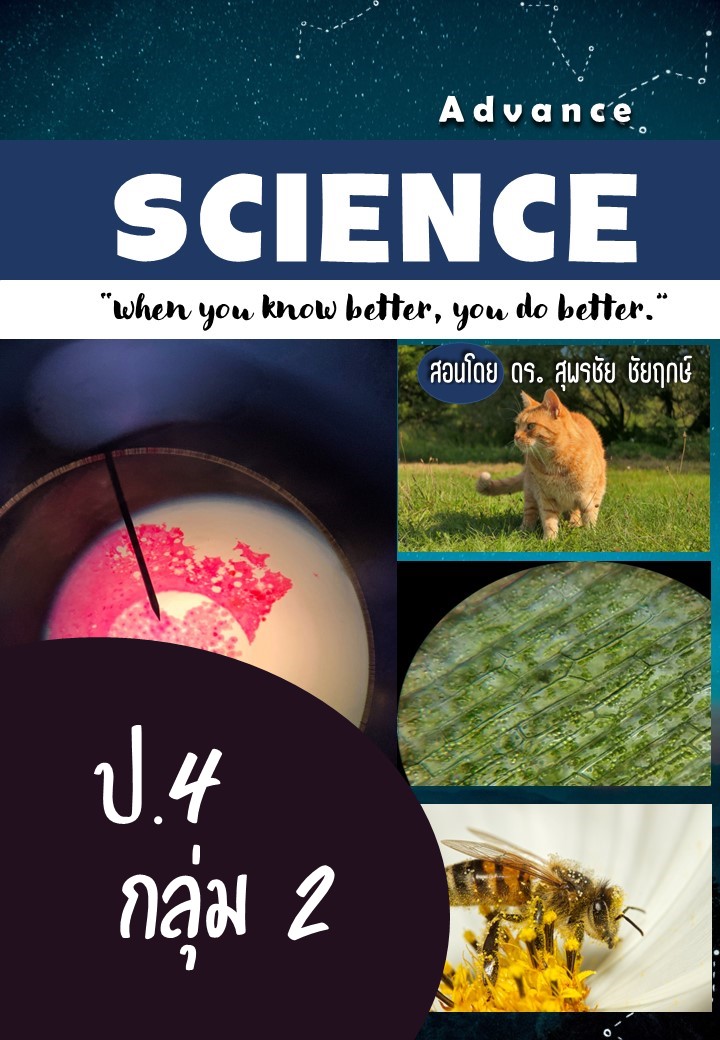 ป4ก2 ปกเทอม 2 2567 – วิทยาศาสตร์ ดร.กิต